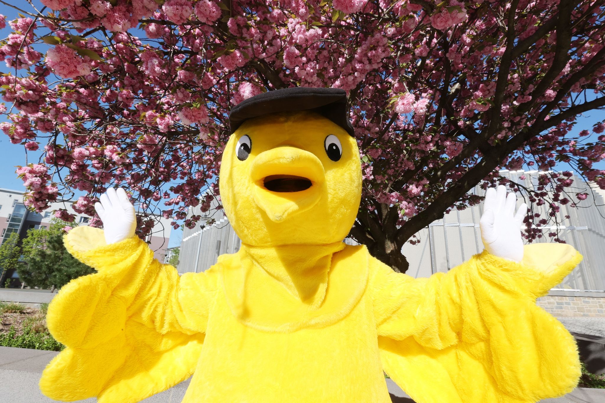 Kindermedienfestival «Goldener Spatz»