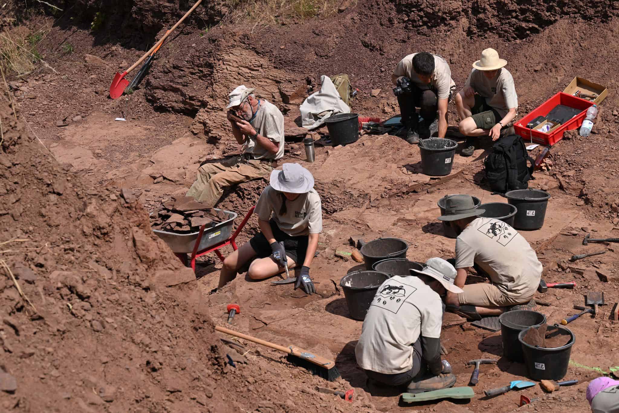 Schätze der Urzeit: 350 neue Funde am Bromacker geborgen