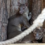 Thüringen Aktuell - Neueste Nachrichten aus Erfurt, Weimar und Jena