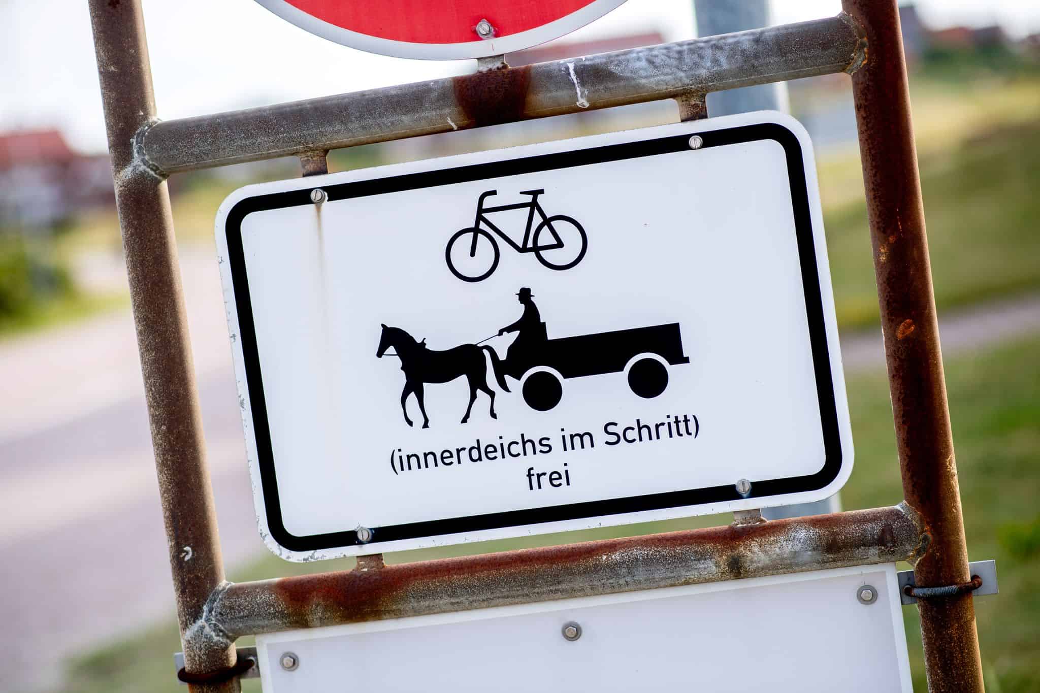 Pferde kommen zum Saisonstart per Fähre zurück nach Baltrum