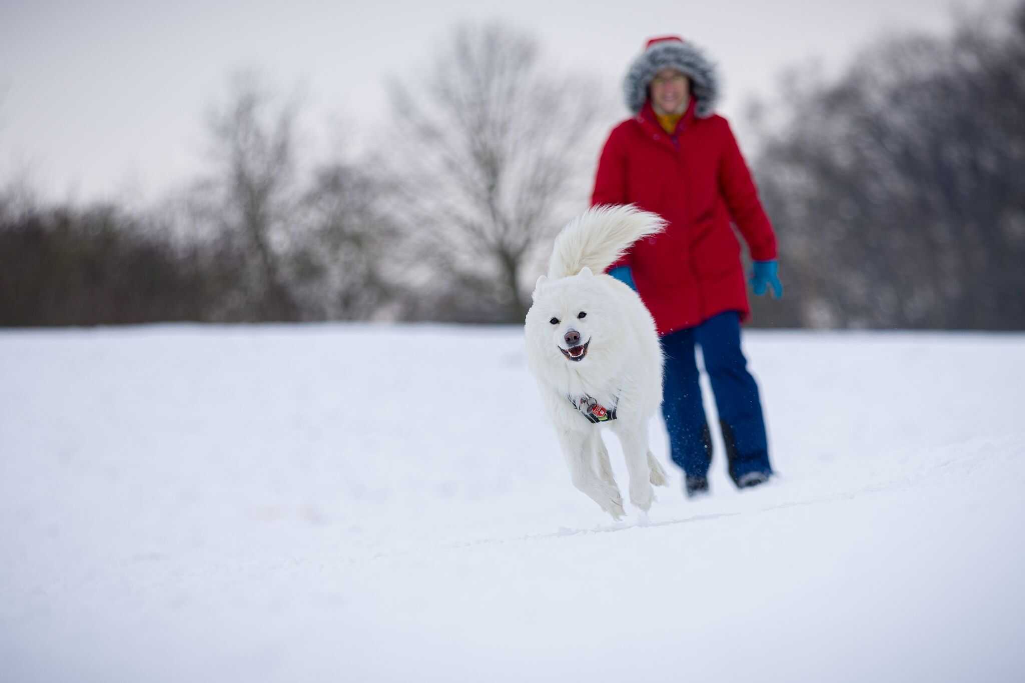Weiterhin eisige Temperaturen in Niedersachsen und Bremen