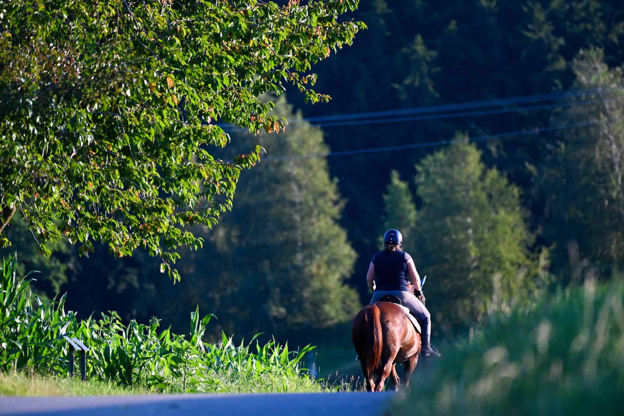 Reiterin steckt mit Pferd fest
