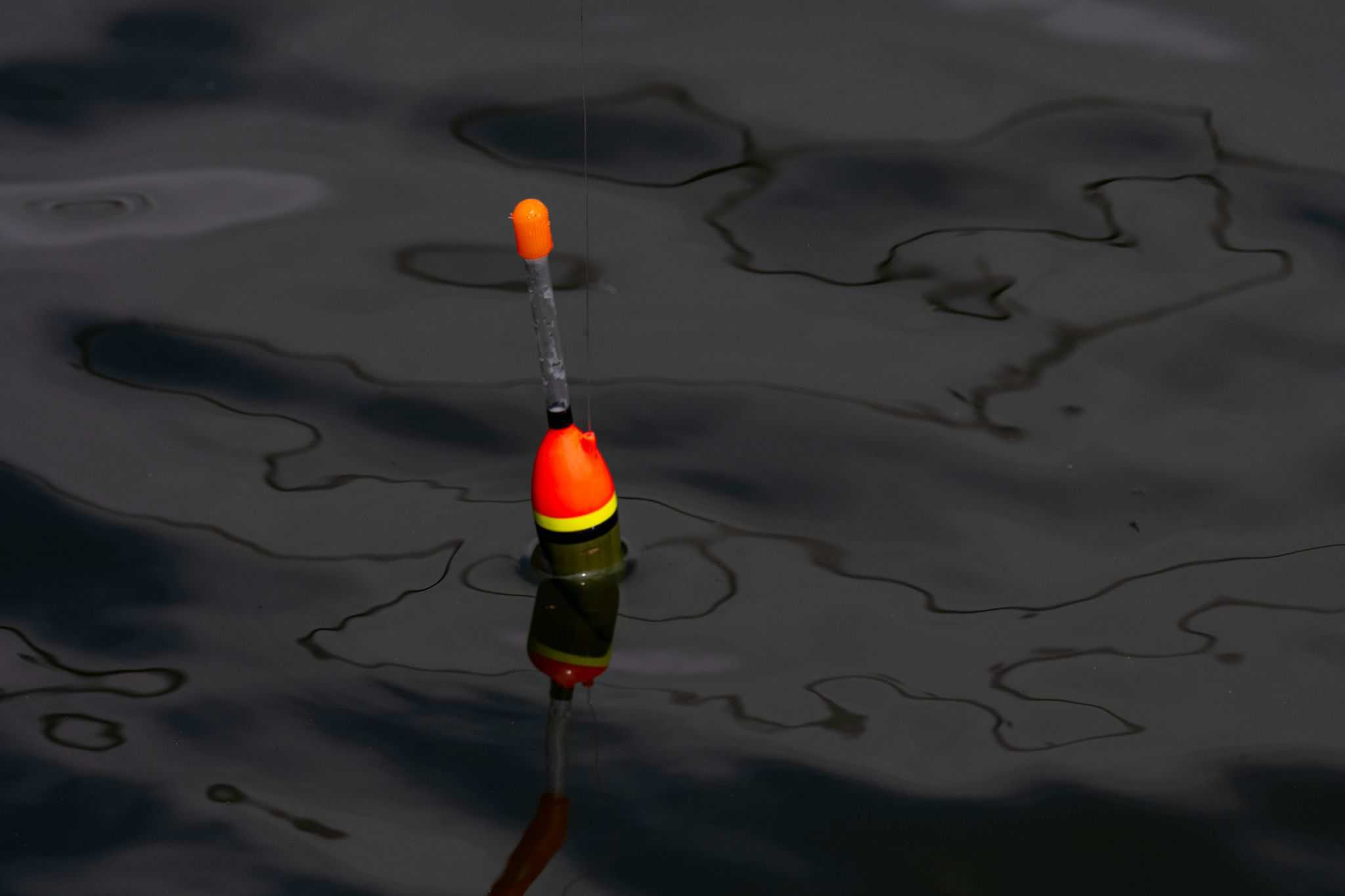 Jugendlicher angelt mit lebendem Fisch als Köder