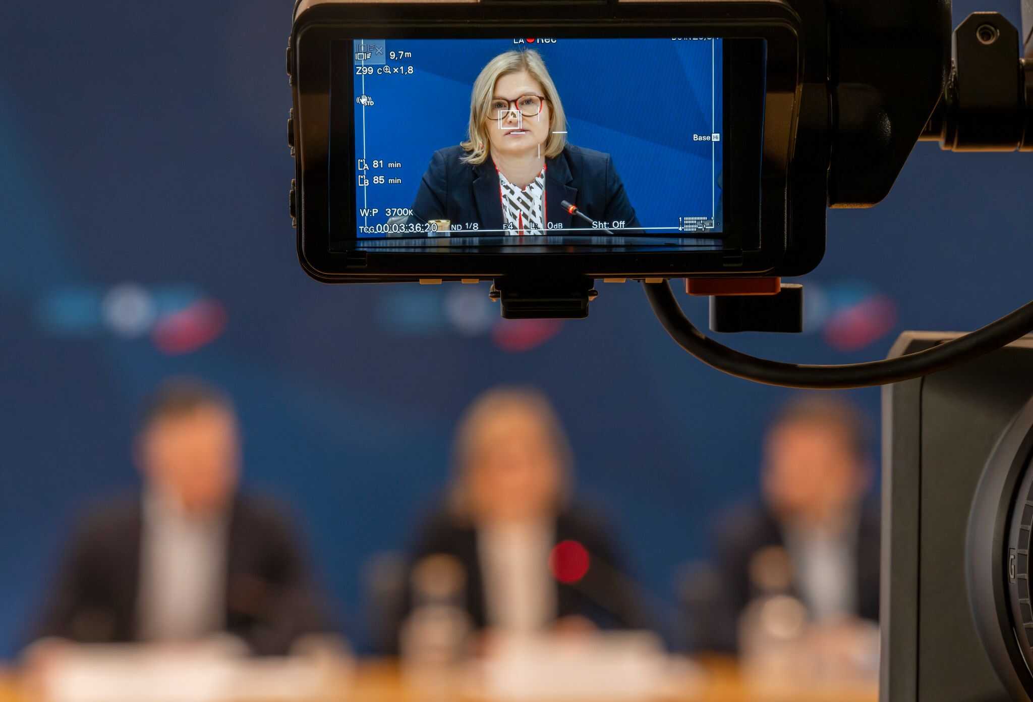 AfD: Nur Menschen einbürgern, die dem Staat nützlich sind