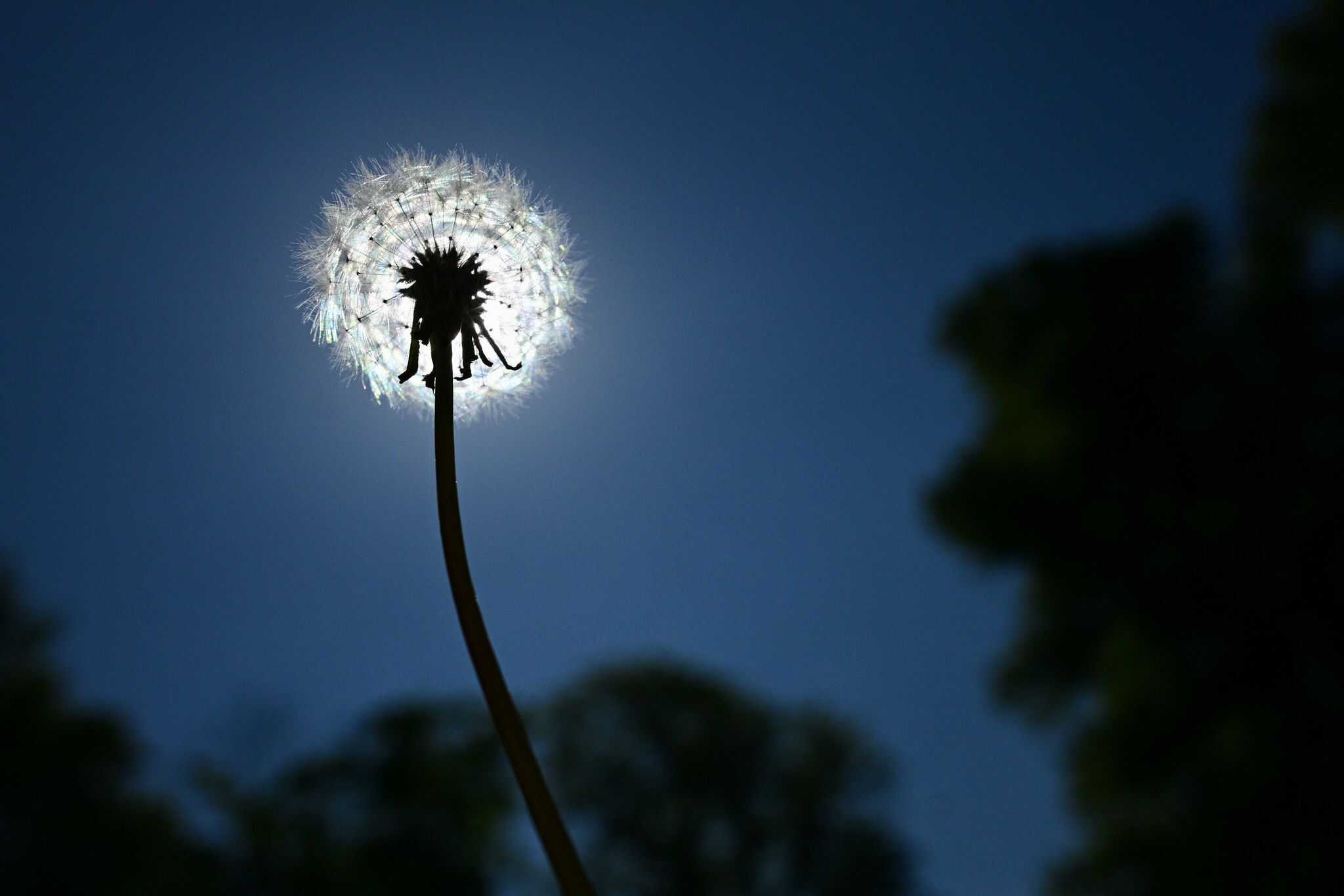Sonne und bis zu 30 Grad für Berlin und Brandenburg