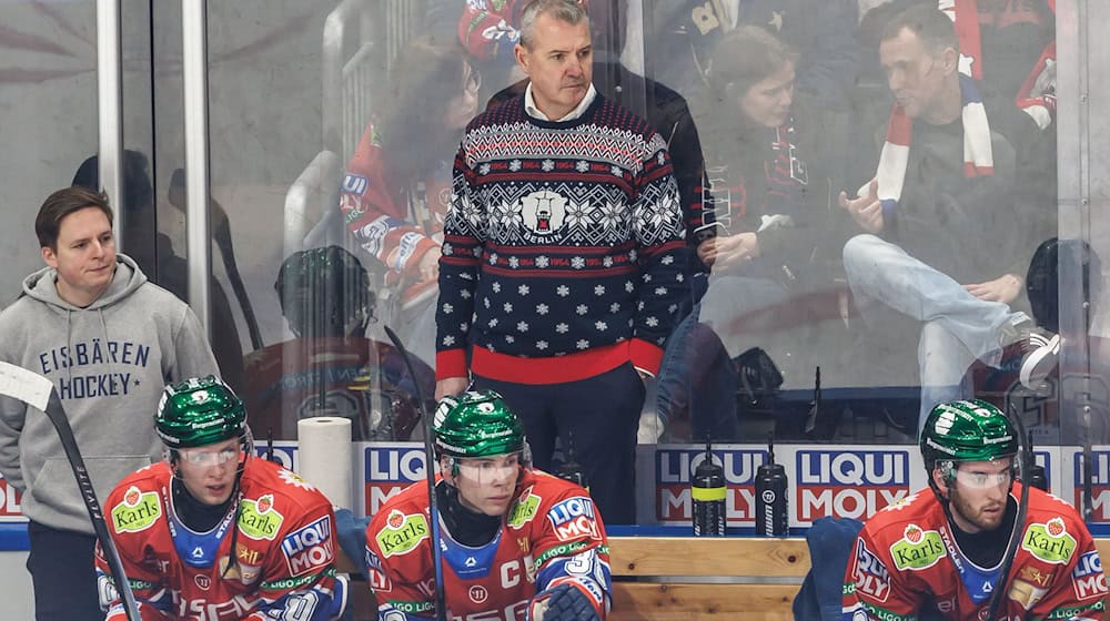 Eisbären suchen Weg aus der Krise: «Gibt kein Wunderrezept»