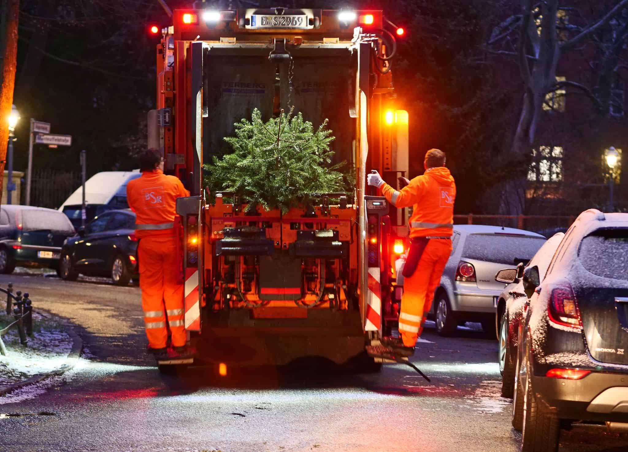 Weihnachtsbaum vergessen, und nun? BSR bittet um Hinweise